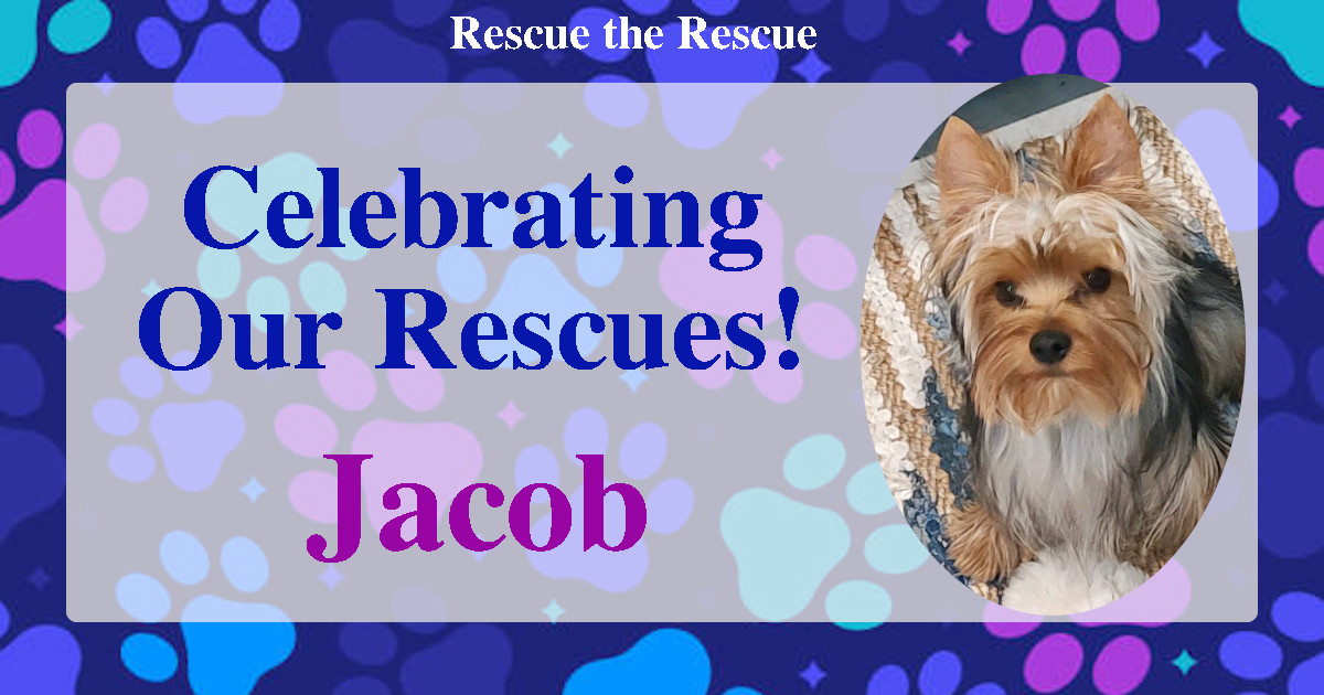 Jacob's Journey: From Suffering to a Forever Home - Max's Ark Rescue