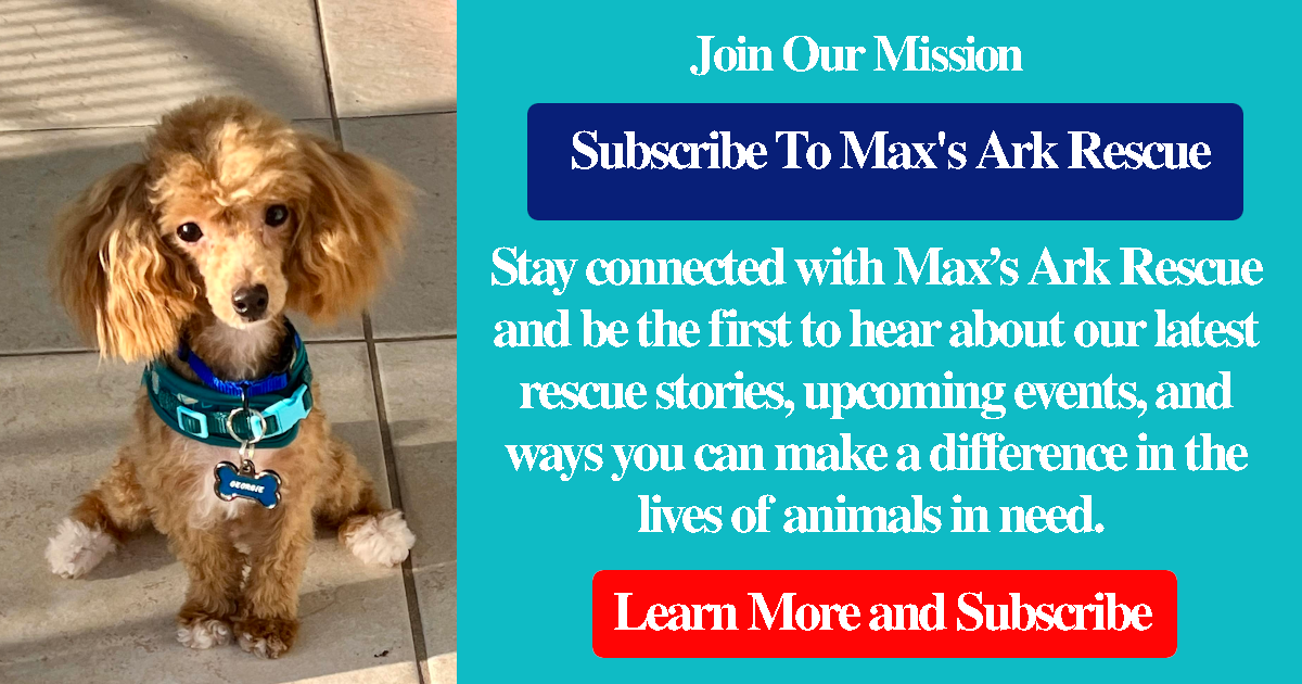 Subscribe to Max's Ark Rescue! - Max's Ark Rescue