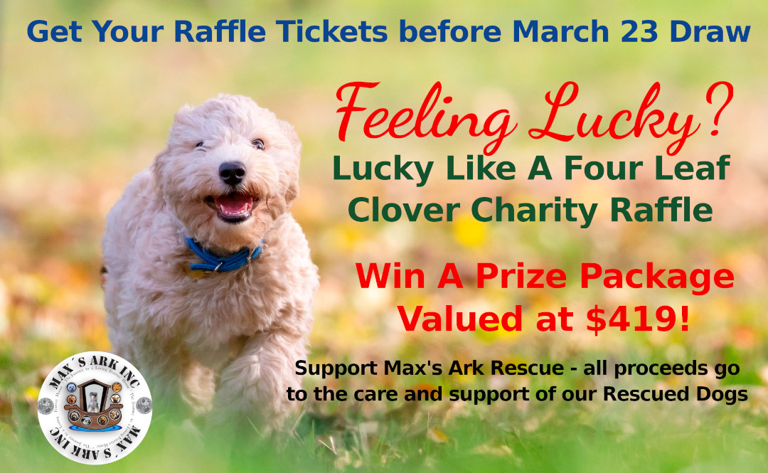 Raffle Time March - Max's Ark Rescue