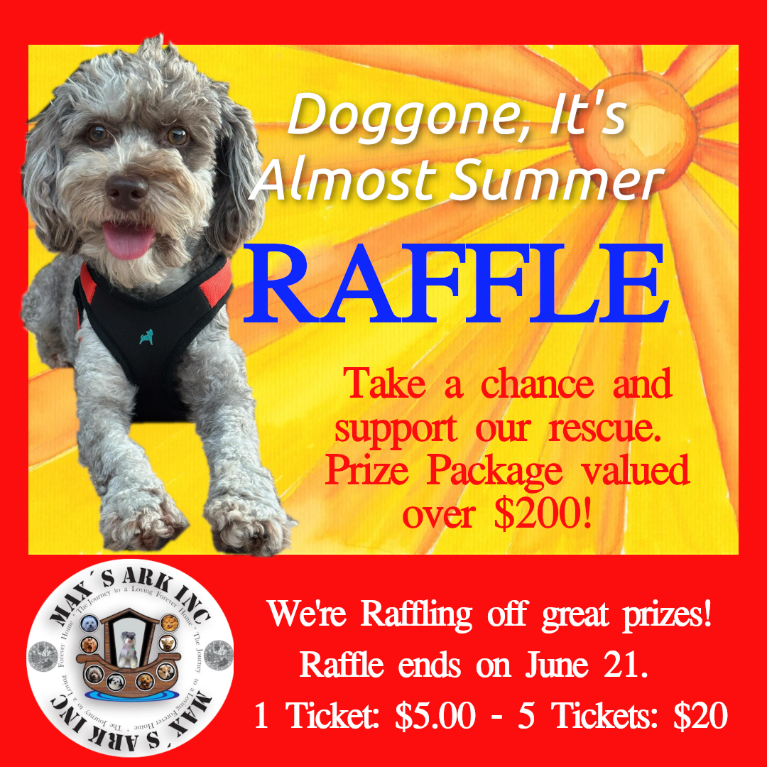 Raffle Time June - Max's Ark Rescue